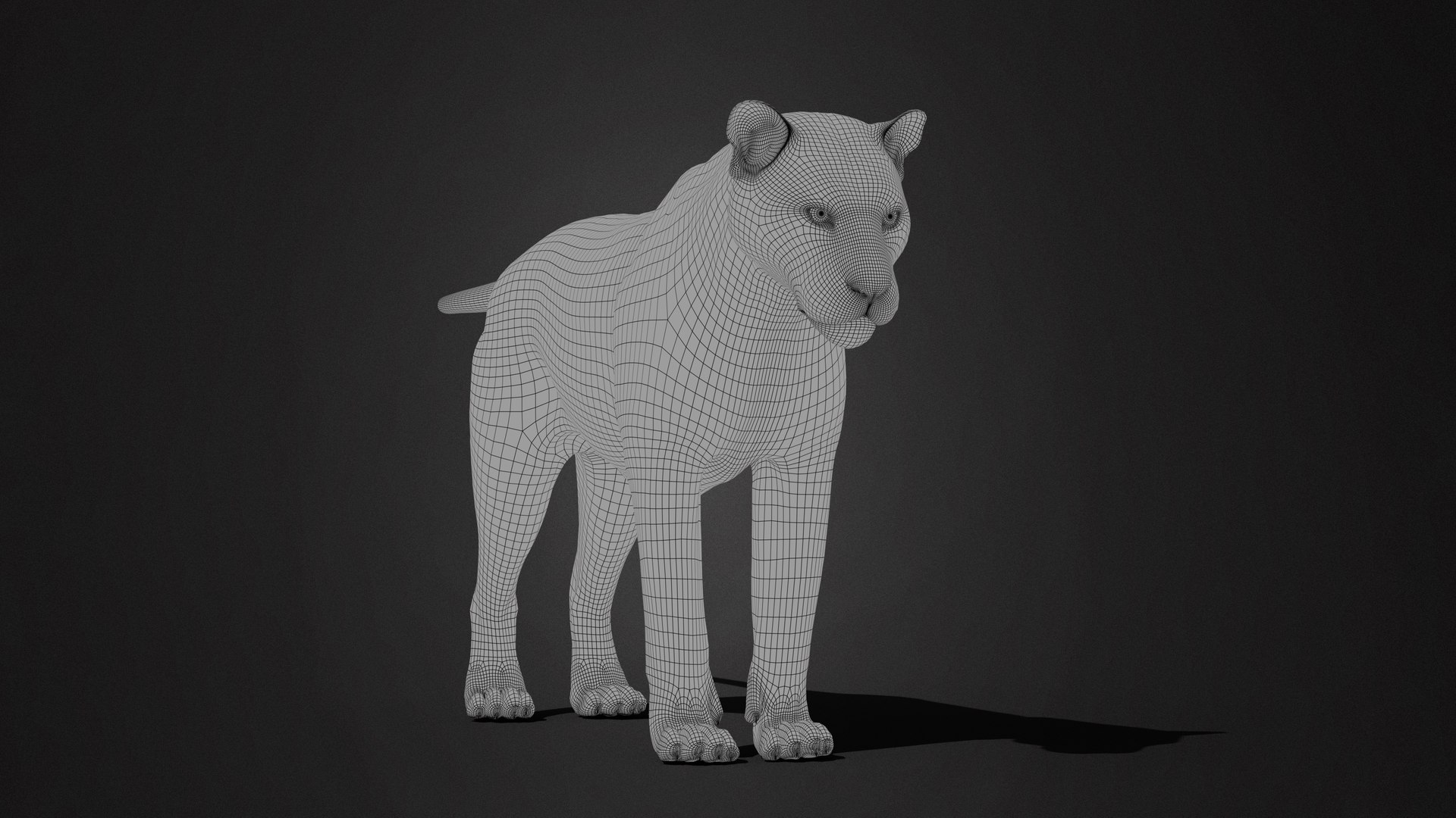 Tiger 2025 - B -RIG Xgen-core 3D Model - TurboSquid 2417823