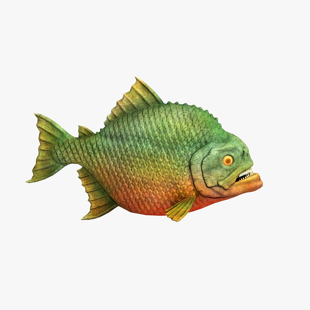 3d Piranha