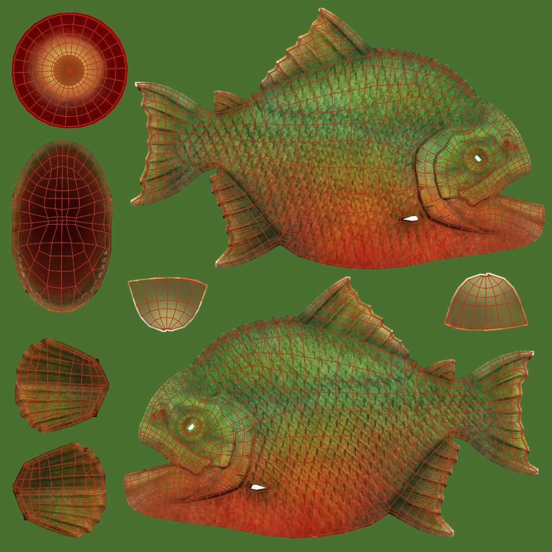 3d Piranha
