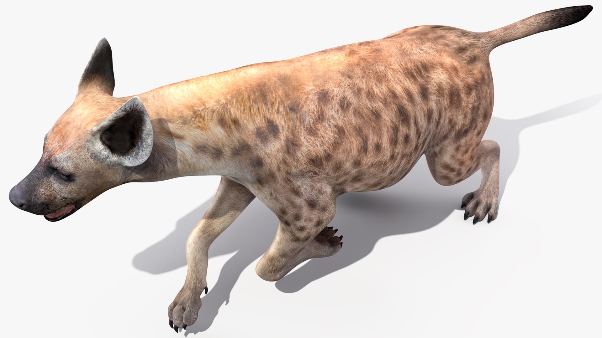3D Hyena Rigged For Cinema 4D - TurboSquid 1719344