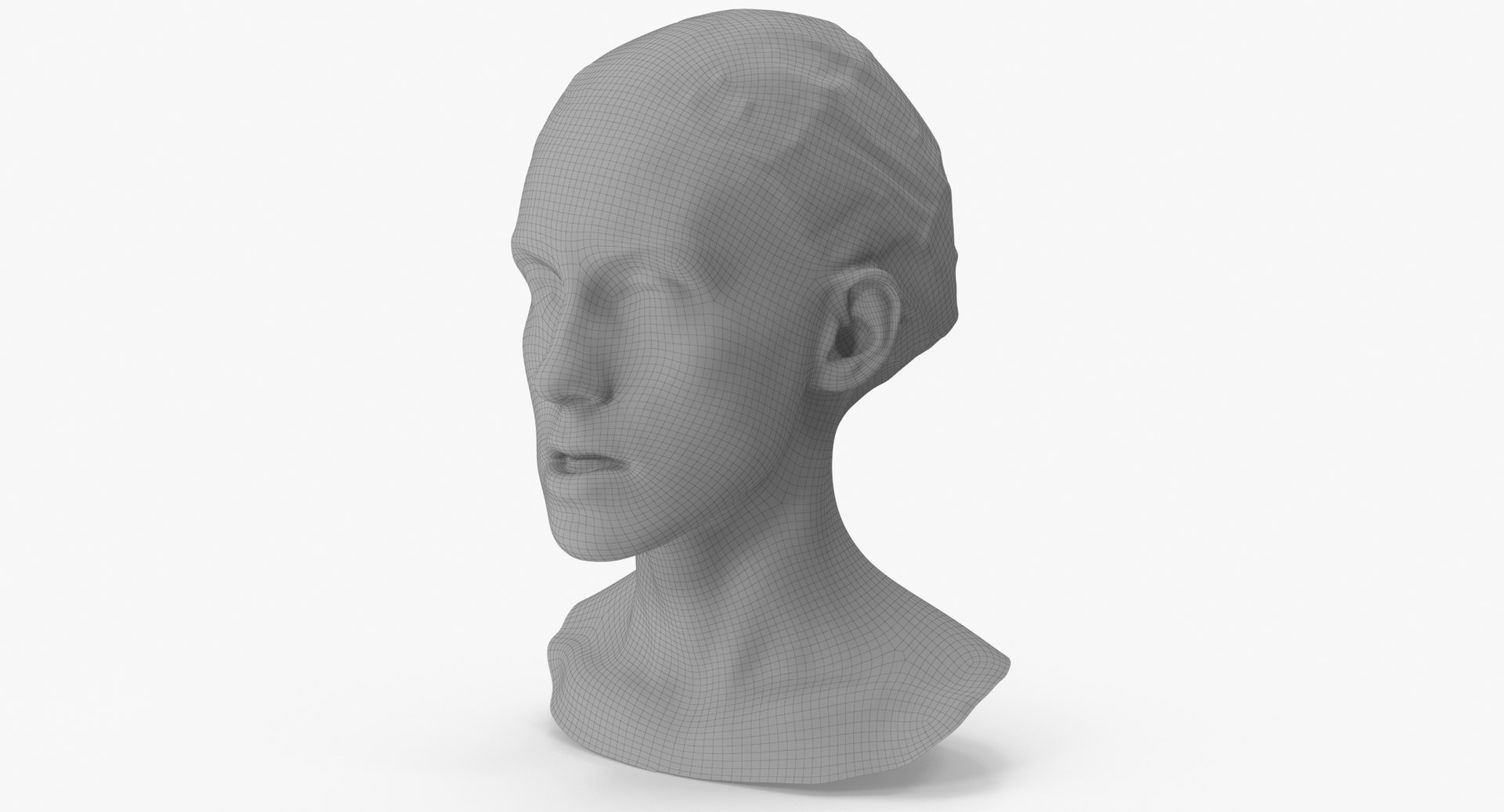 3D Athena Human Head Jaw - TurboSquid 1672995