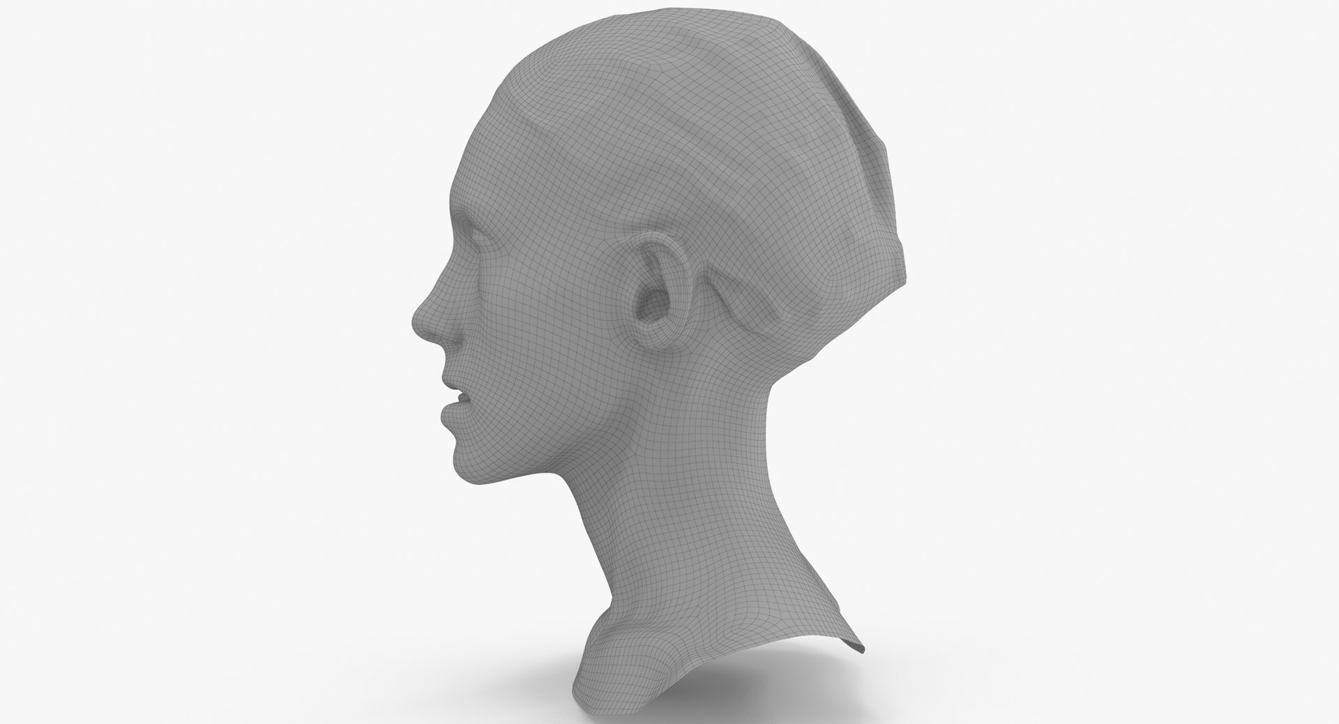 3D Athena Human Head Jaw - TurboSquid 1672995
