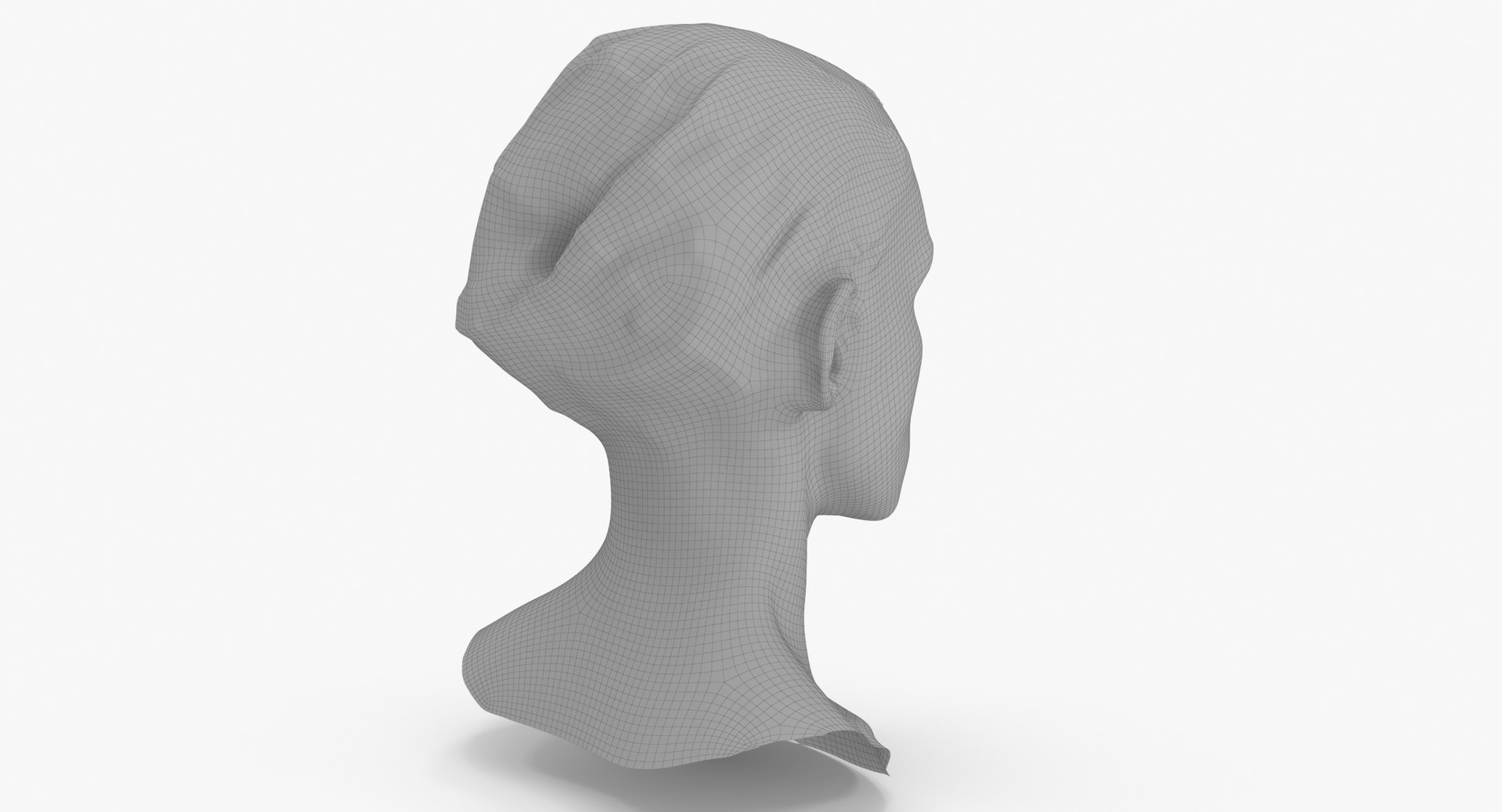 3D Athena Human Head Jaw - TurboSquid 1672995
