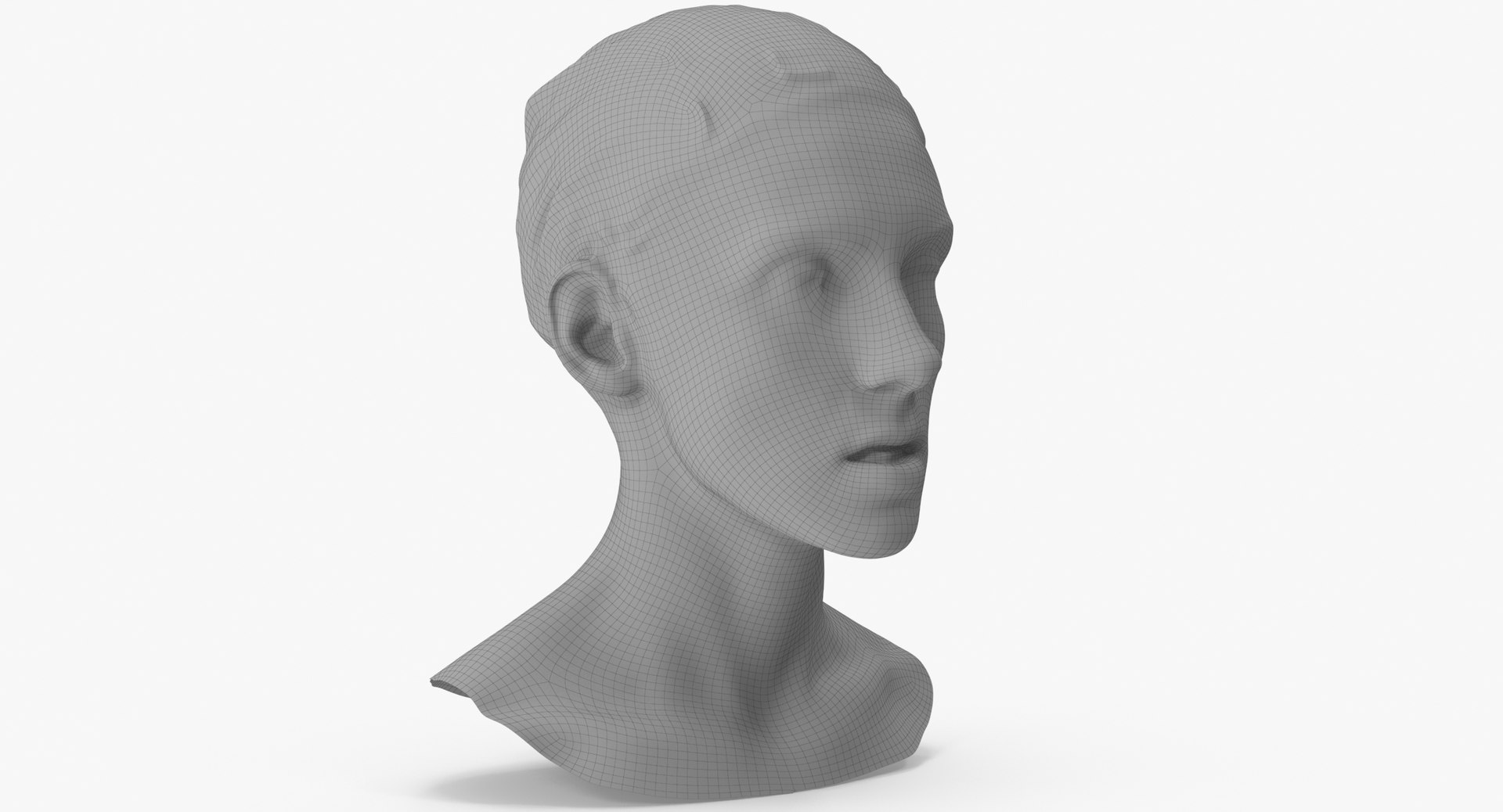 3D Athena Human Head Jaw - TurboSquid 1672995
