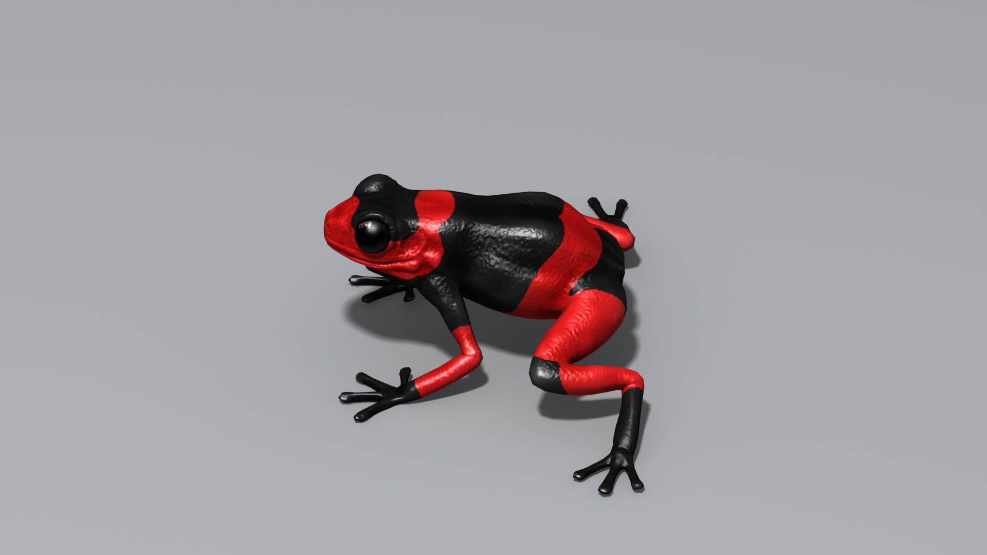 Lehmanns Poison Frog 3D - TurboSquid 2204499