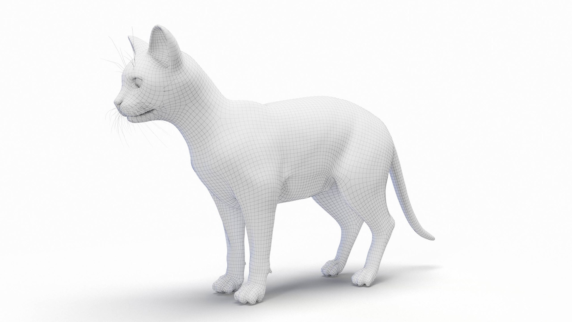 3D Cat Female Body Static Model - TurboSquid 2211236