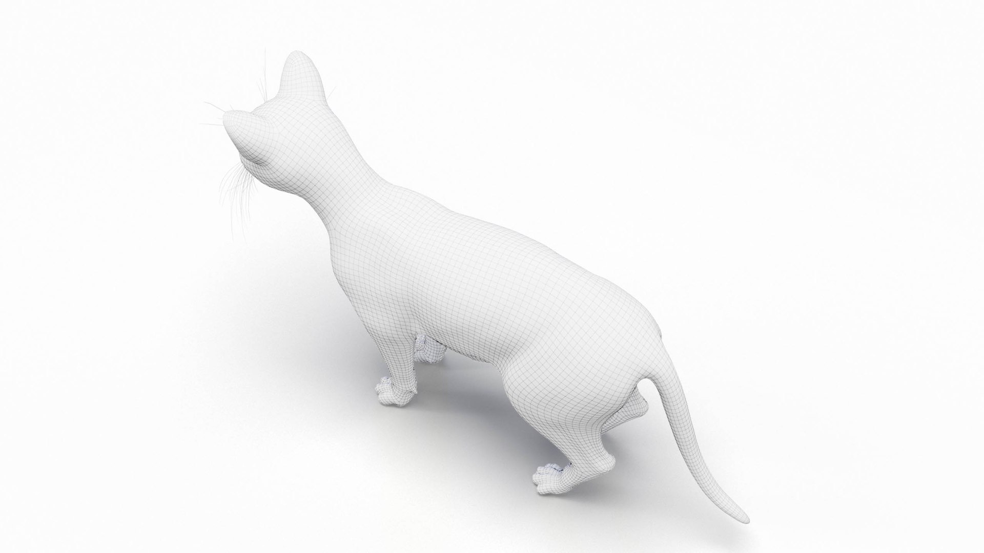 3D Cat Female Body Static Model - TurboSquid 2211236