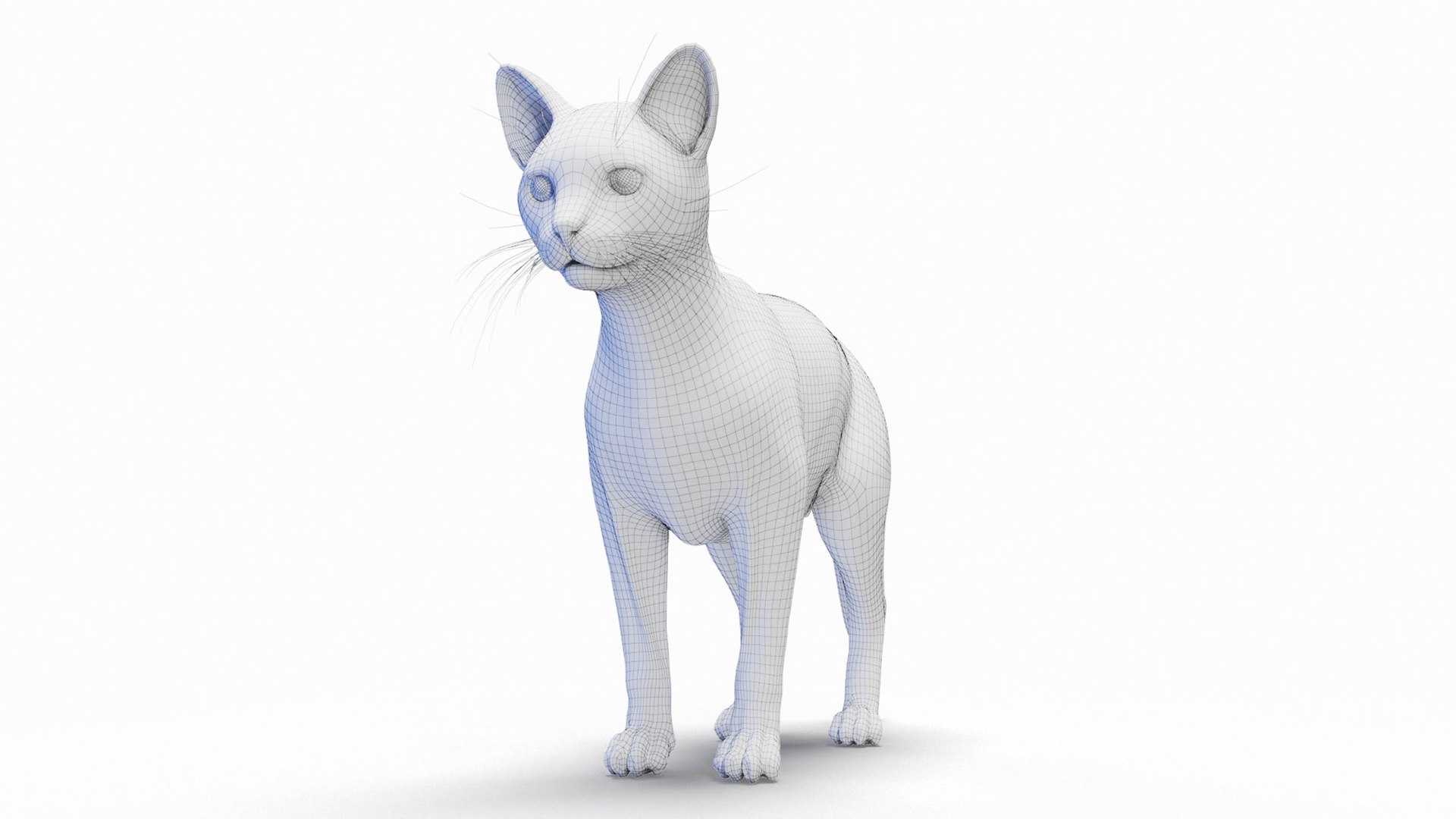 3D Cat Female Body Static Model - TurboSquid 2211236