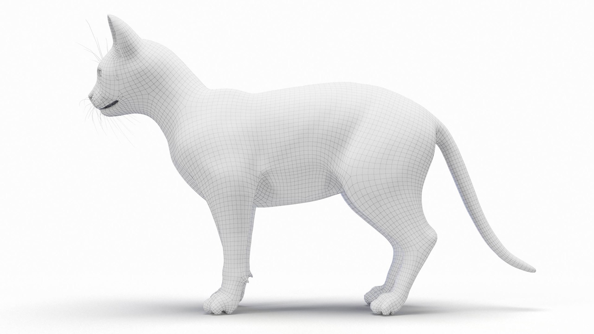 3D Cat Female Body Static Model - TurboSquid 2211236