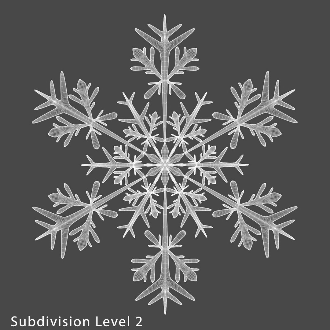 3d Snow Snowflake Model