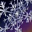 3d Snow Snowflake Model
