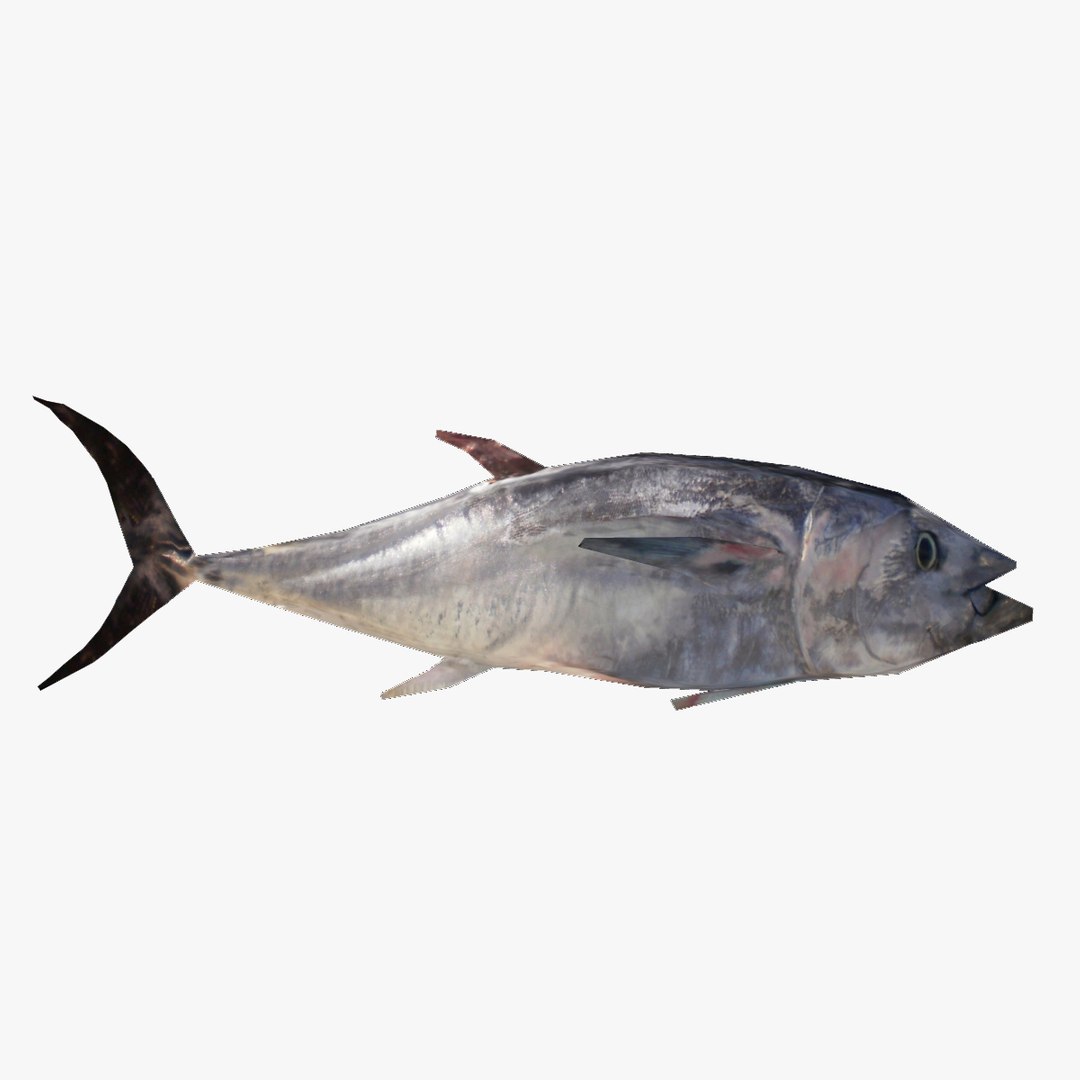 great tuna 3ds