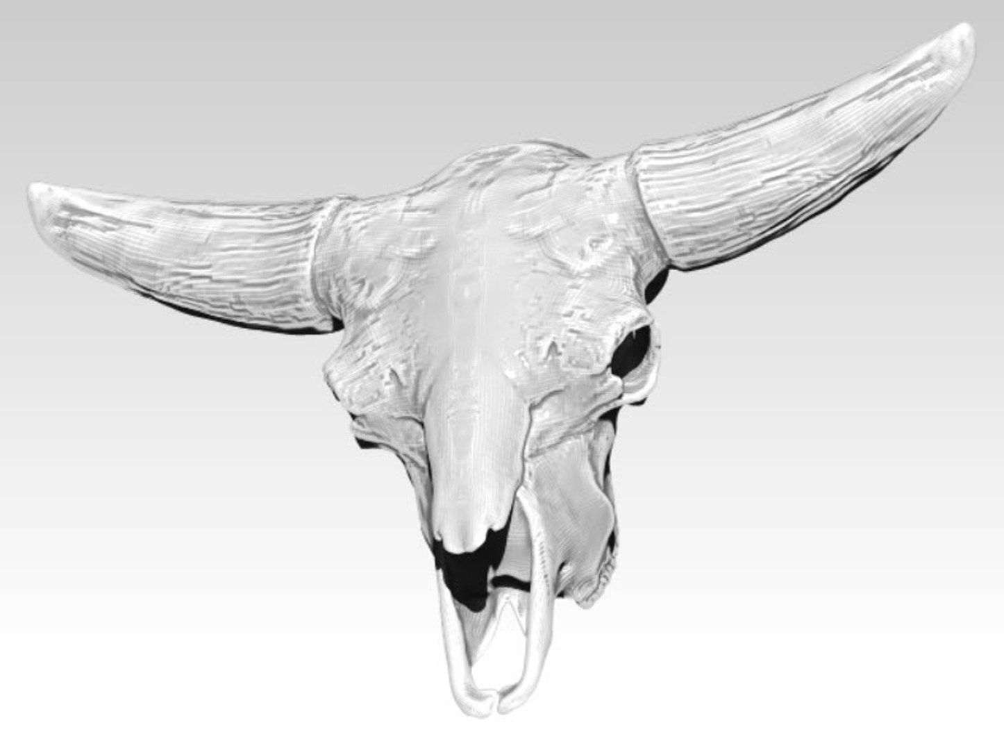 3D Skull Head - TurboSquid 1279770
