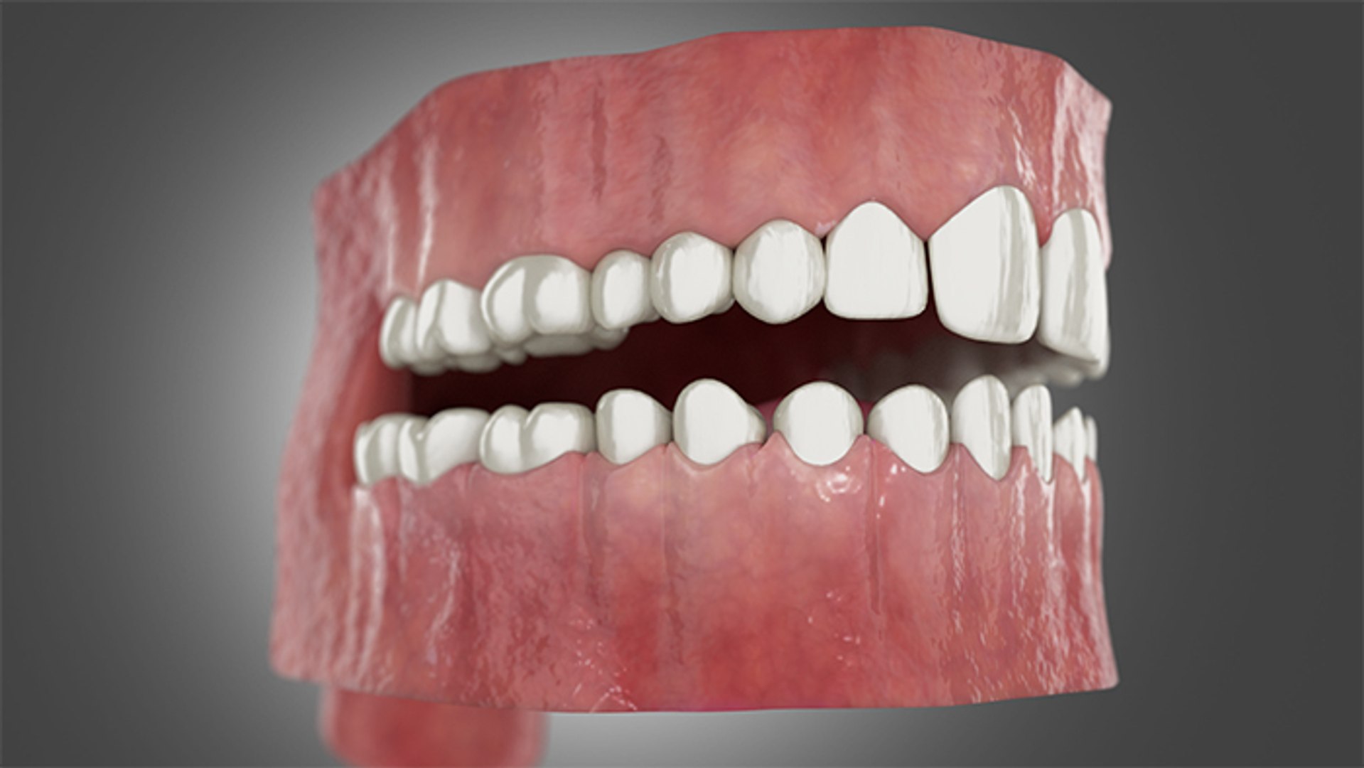 3D Realistic Mouth Teeth Tongue Model - TurboSquid 1159880