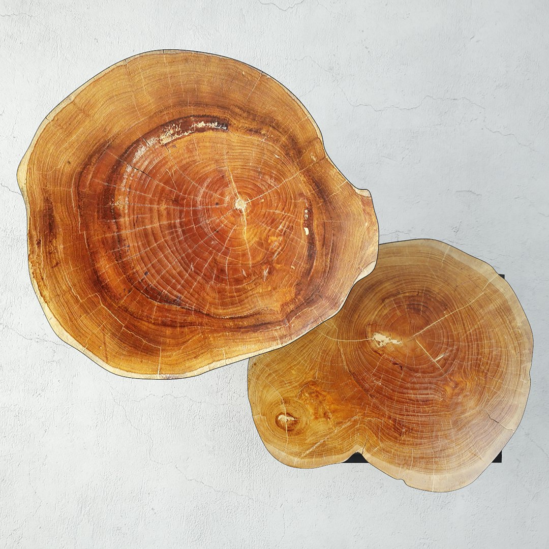 Teak Stump Side Tables 2 3D - TurboSquid 2120672