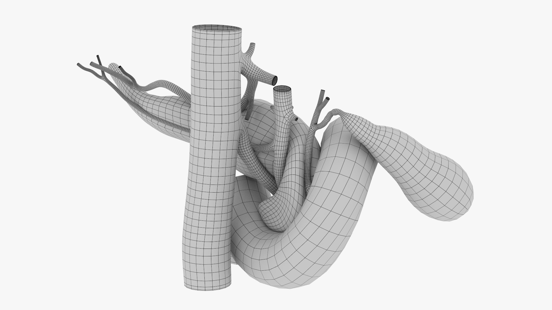 Human Pancreas 3D - TurboSquid 1703772