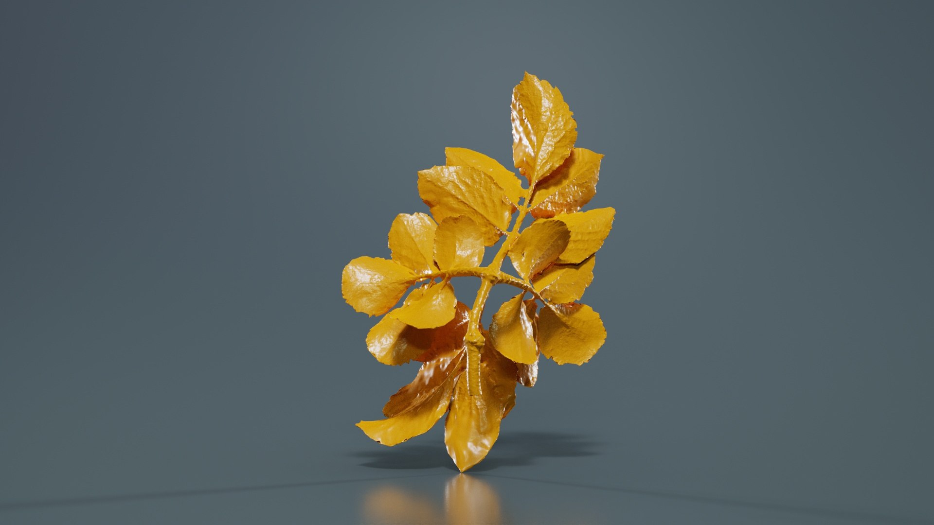 Angelica Archangelica Angelica Apiaceae Sprout 1 Remastered 3D ...