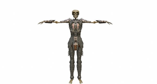 Cartoon Skeleton 3ds Max Models for Download | TurboSquid