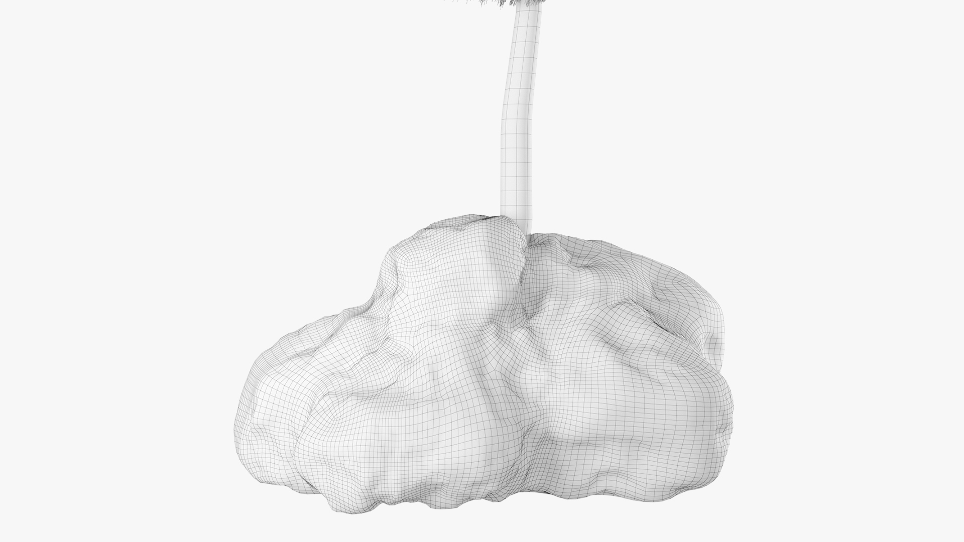 3D Shrunken head - TurboSquid 1742753