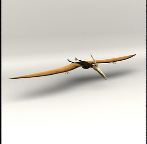 Pteranodon 3D Models for Download | TurboSquid