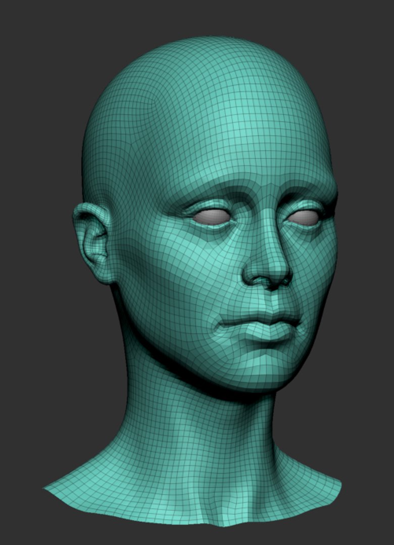 Obj Female Head Base Mesh