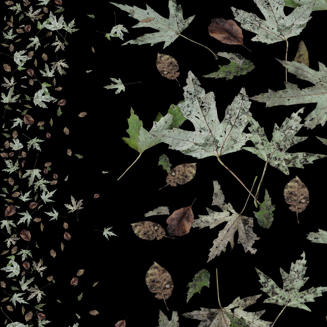 Autumn Green Leaves 3D Model - TurboSquid 1817075