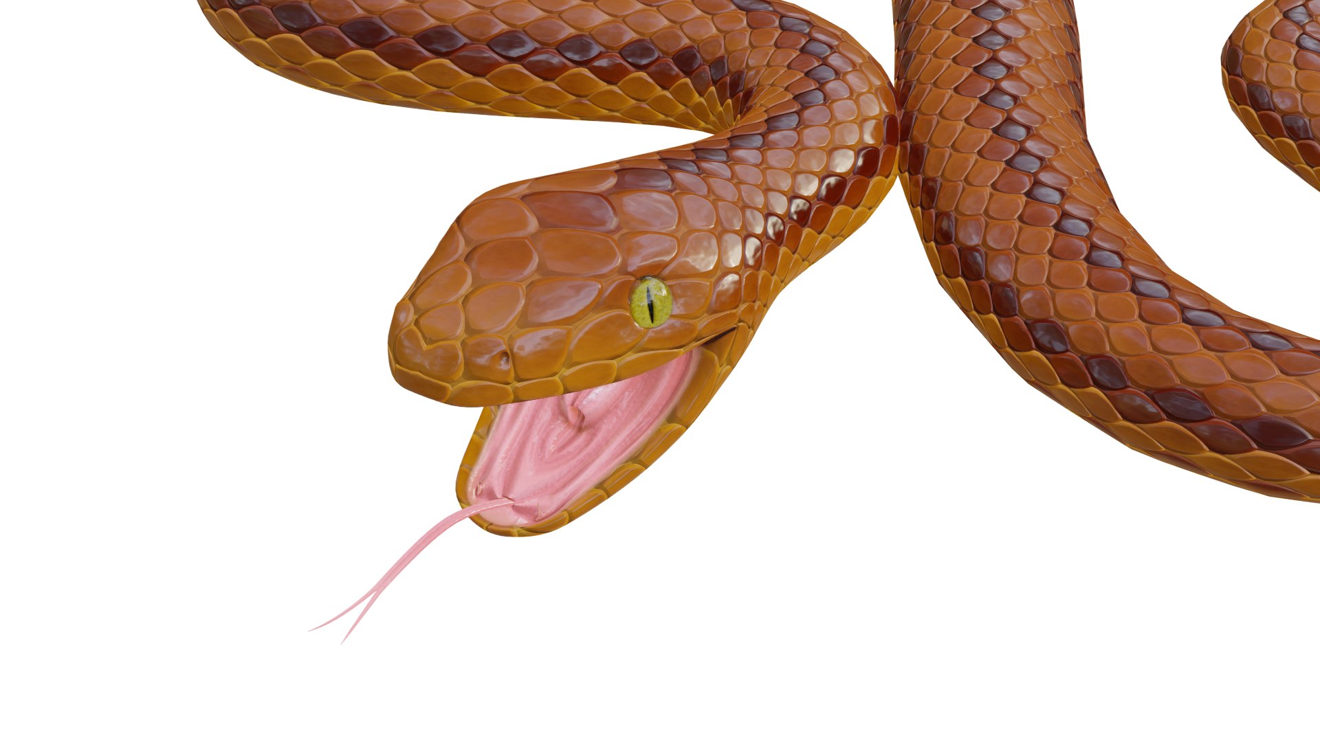 3D Snake Procedural - TurboSquid 2155687