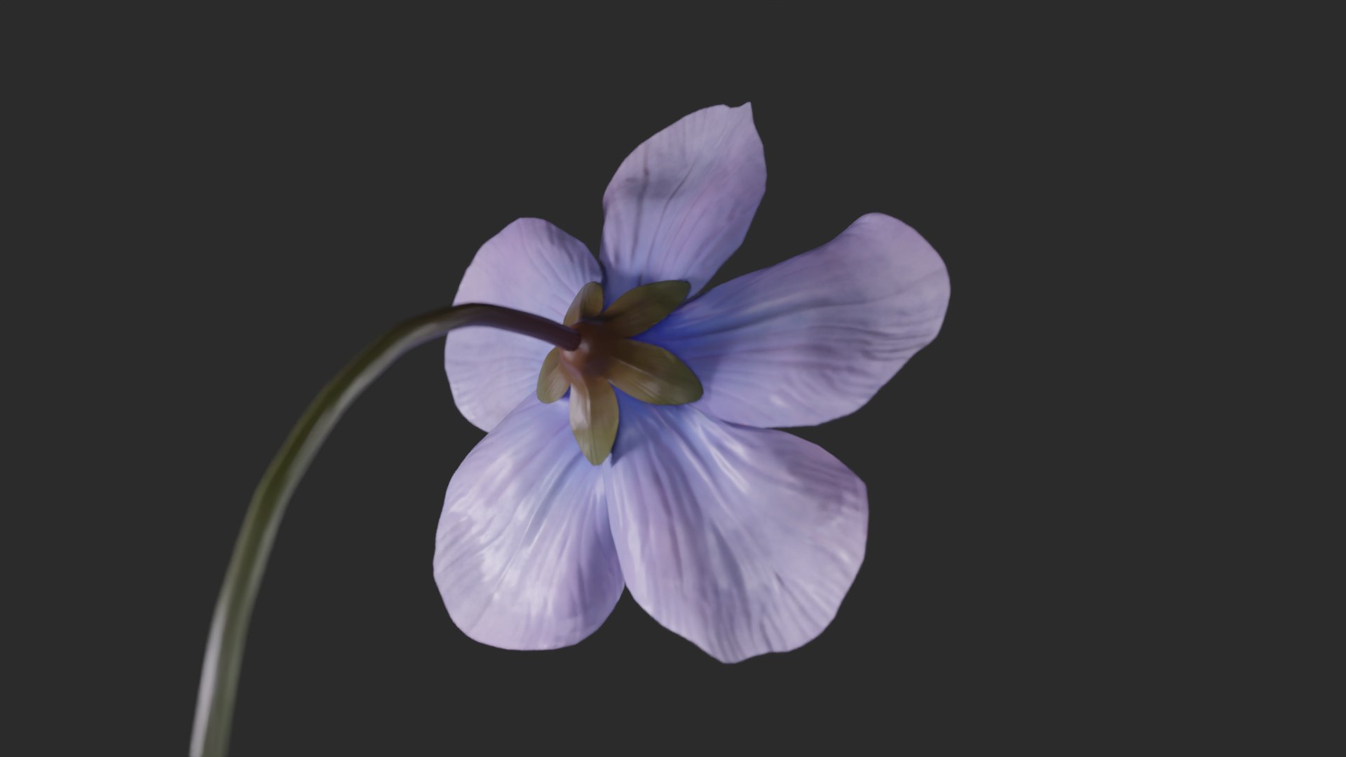 Blue Forest Flower Animated Low Poly 3D - TurboSquid 2235250