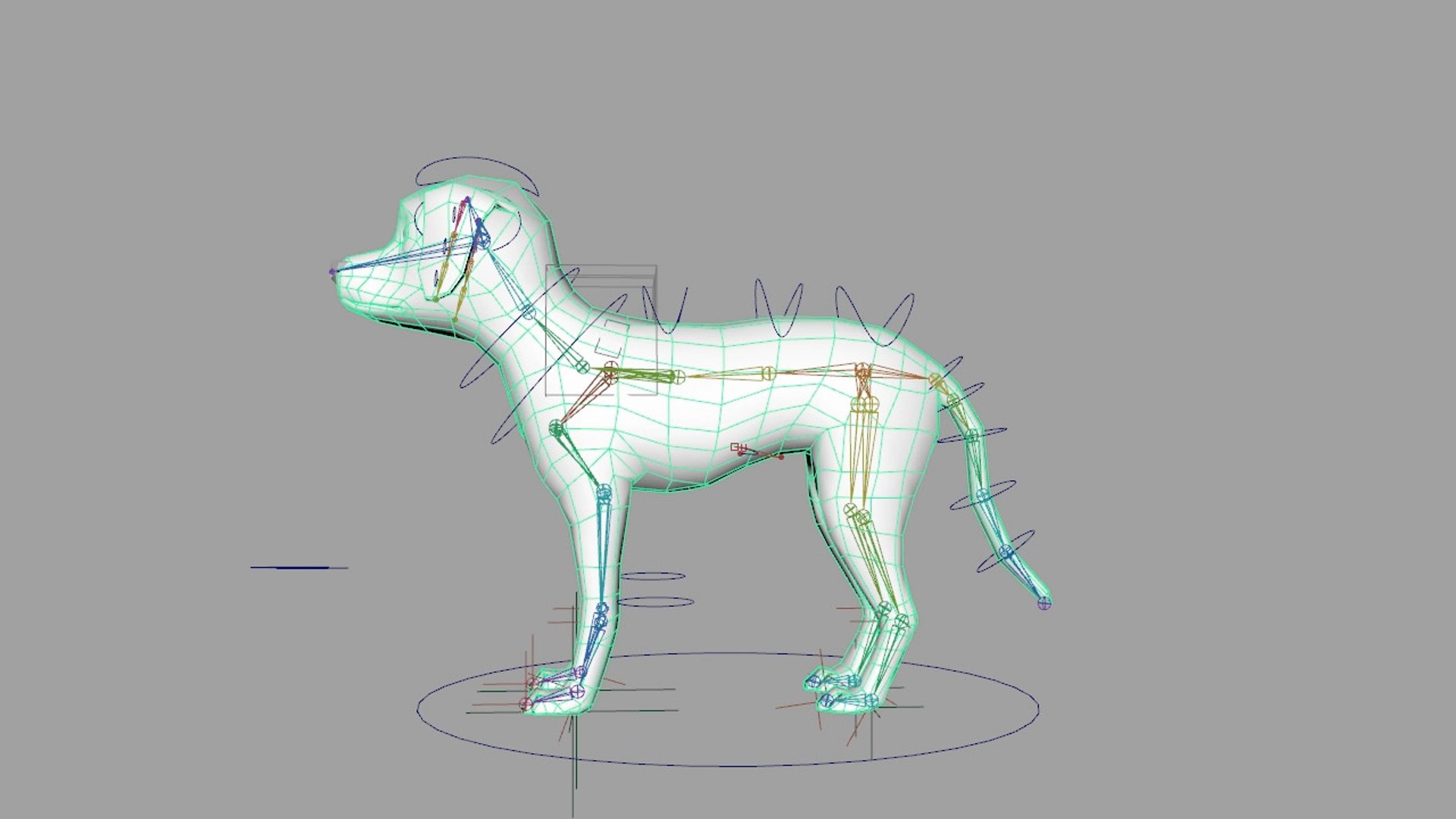 Realistic Cavoodle Dog Rigged Model - TurboSquid 1446745