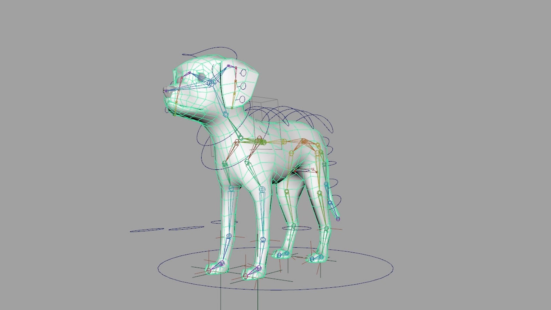 Realistic Cavoodle Dog Rigged Model - TurboSquid 1446745