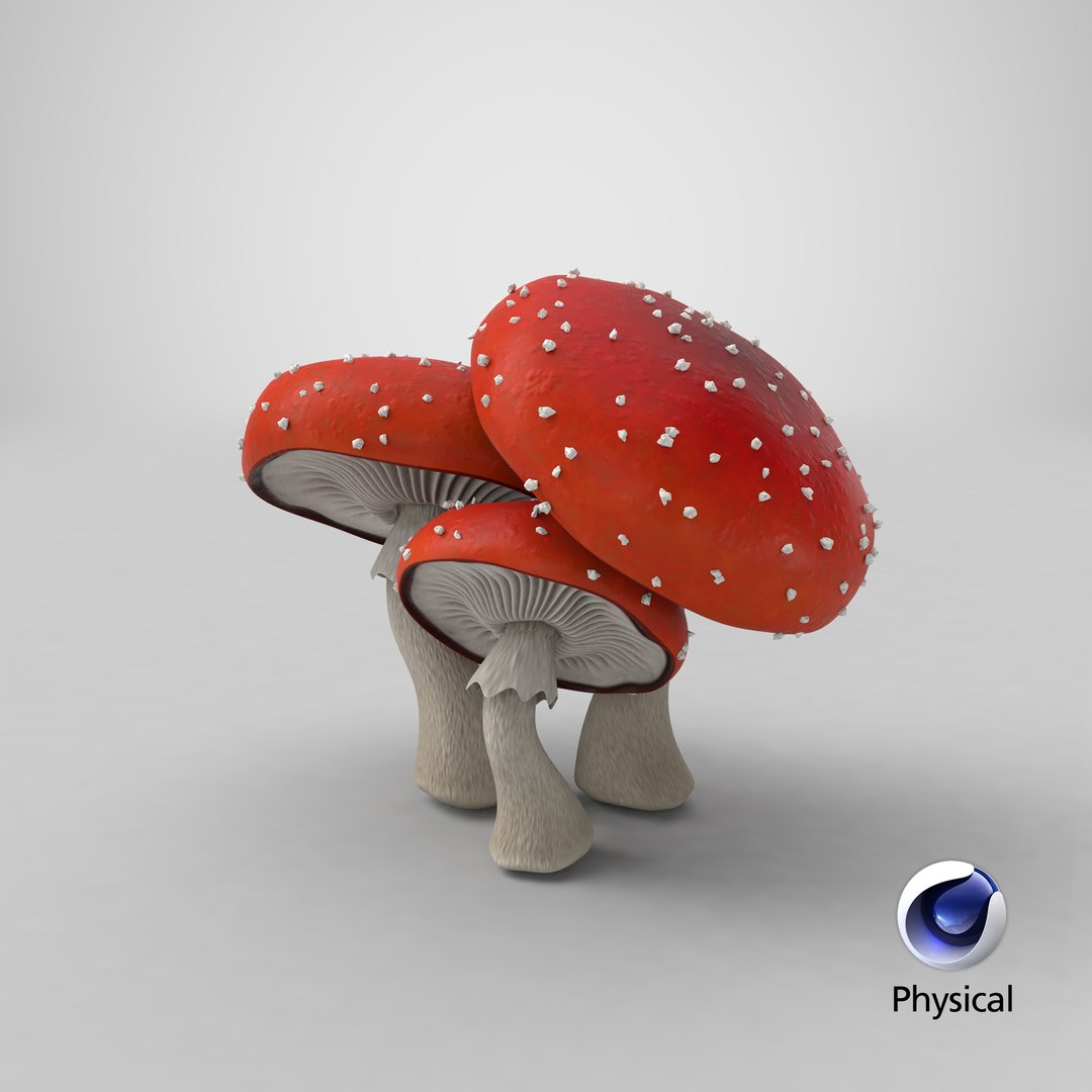 obj mushrooms amanita