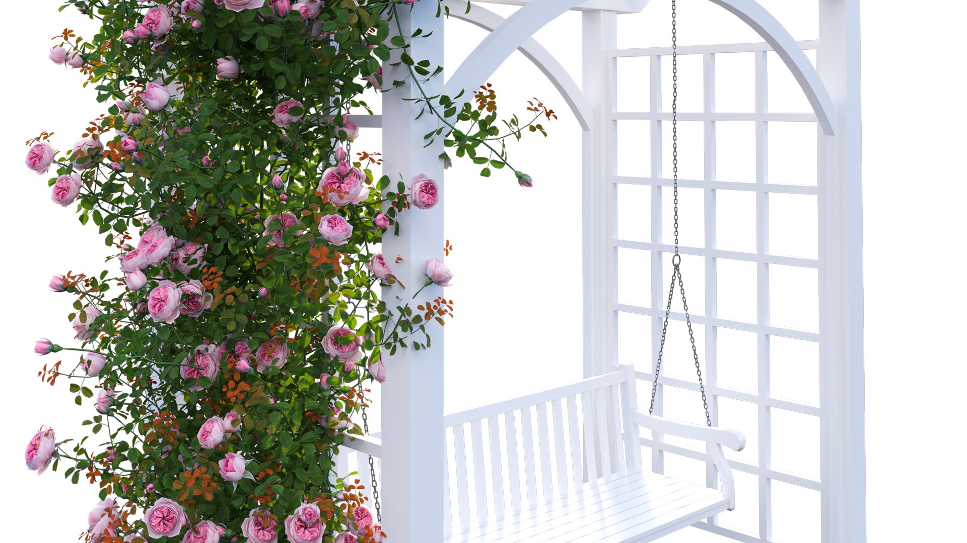 Climbing Rose - Rose Swing 3D model - TurboSquid 2048952