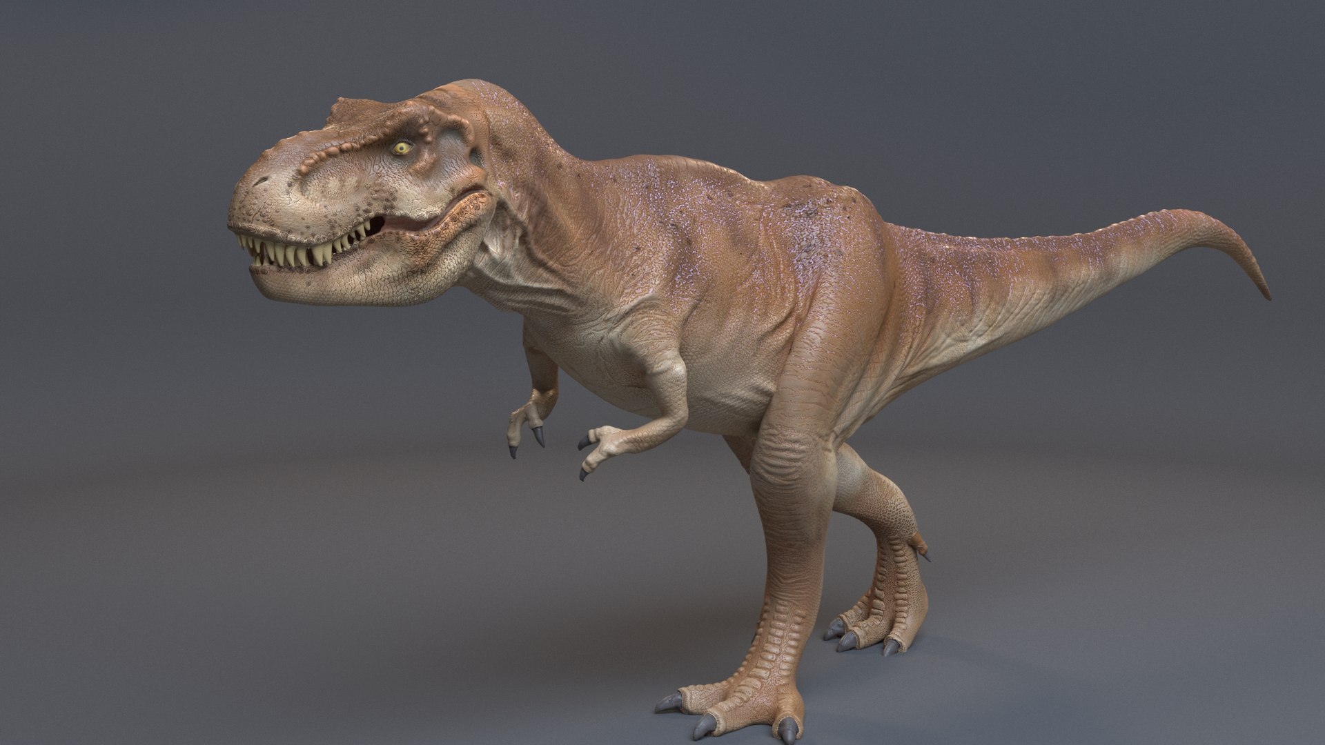 Free 3D Tyrannosaurus - TurboSquid 2027642