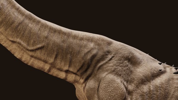 modelo 3d Titanosaurus - TurboSquid 2050815