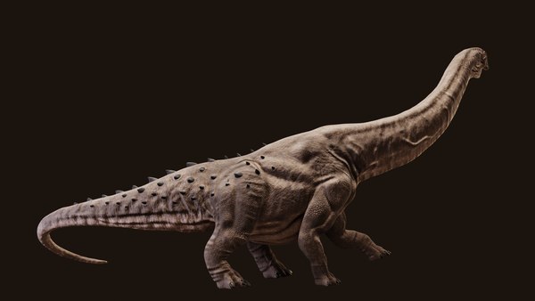 modelo 3d Titanosaurus - TurboSquid 2050815