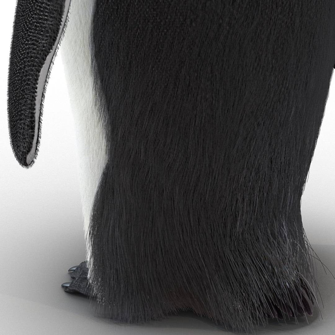 emperor penguin fur 3d max