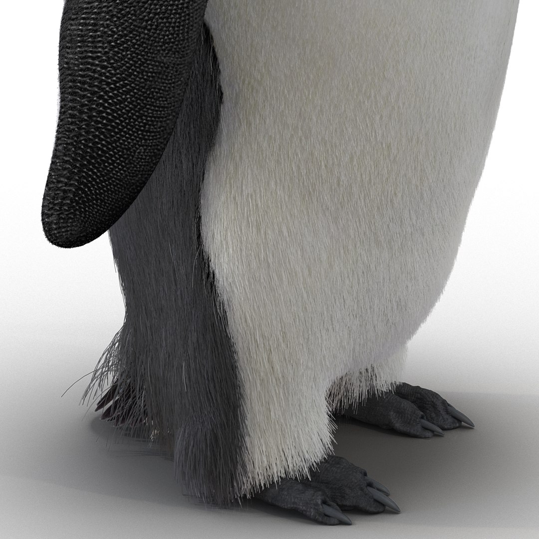 emperor penguin fur 3d max