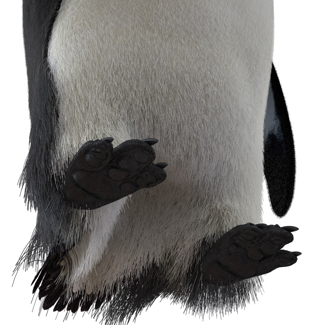 emperor penguin fur 3d max