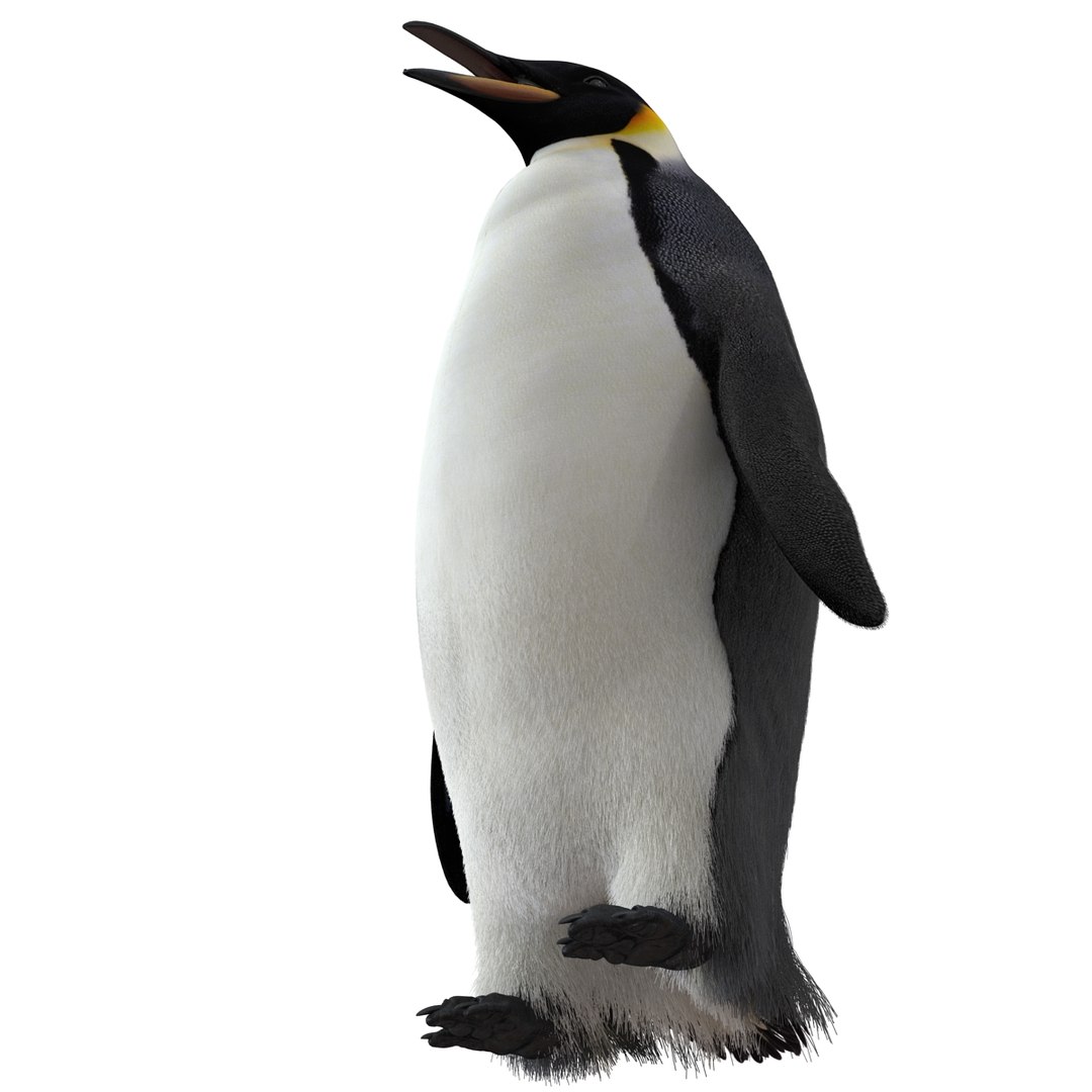 emperor penguin fur 3d max