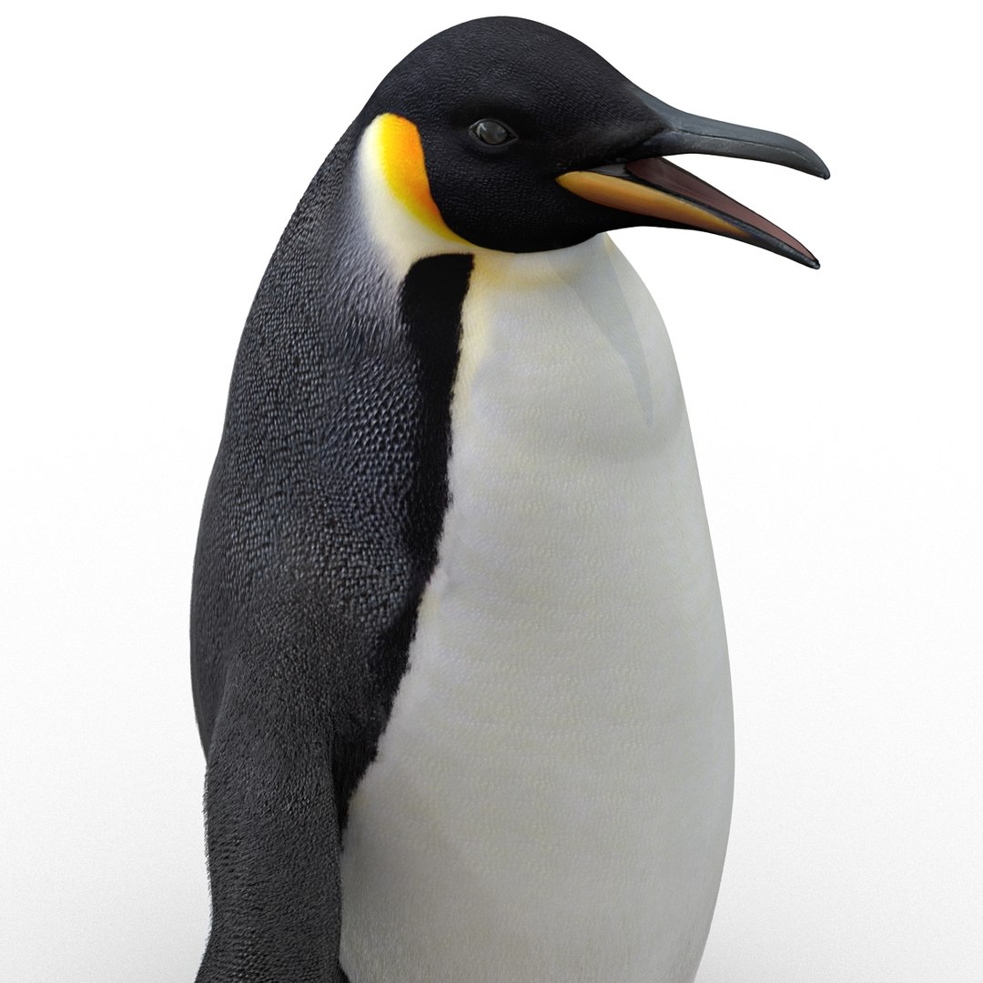 emperor penguin fur 3d max