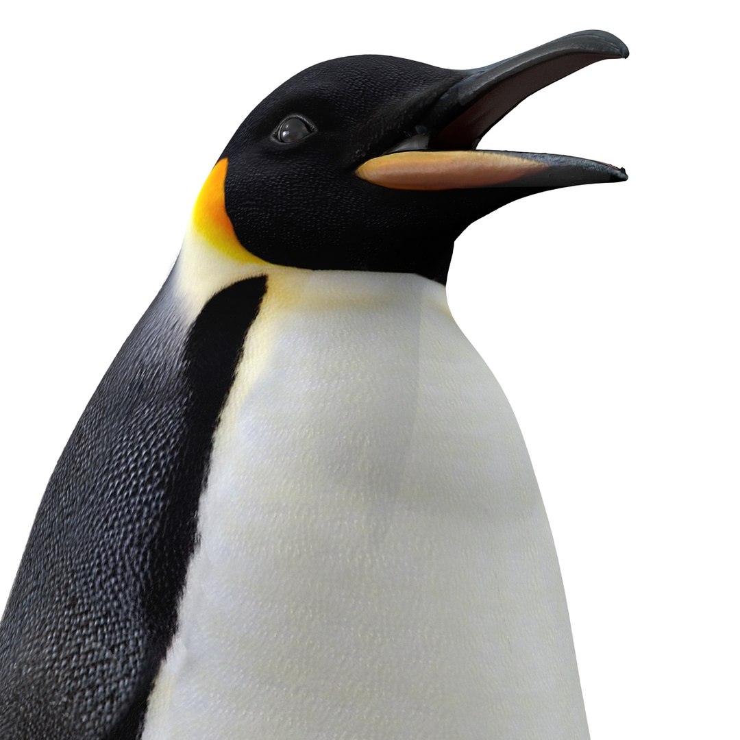 emperor penguin fur 3d max