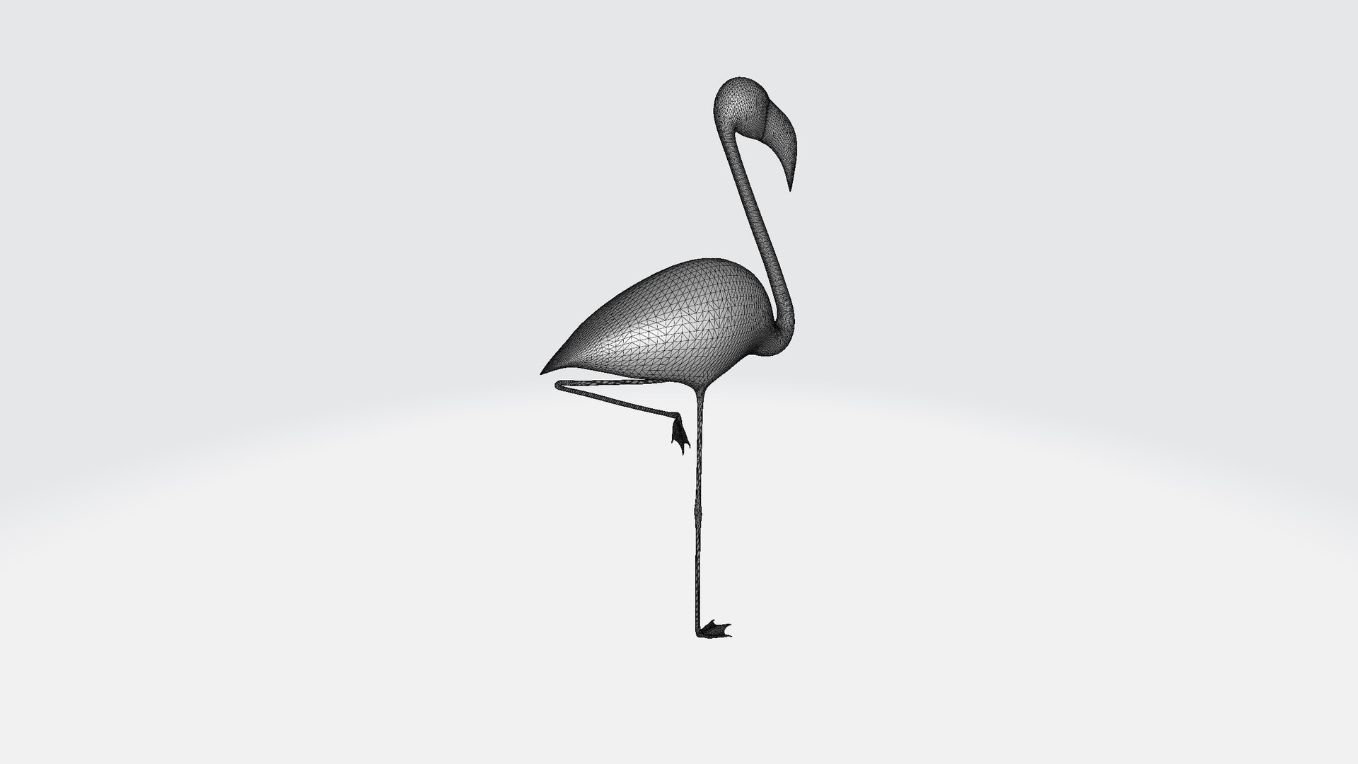 3D Flamingo Model - TurboSquid 2304380