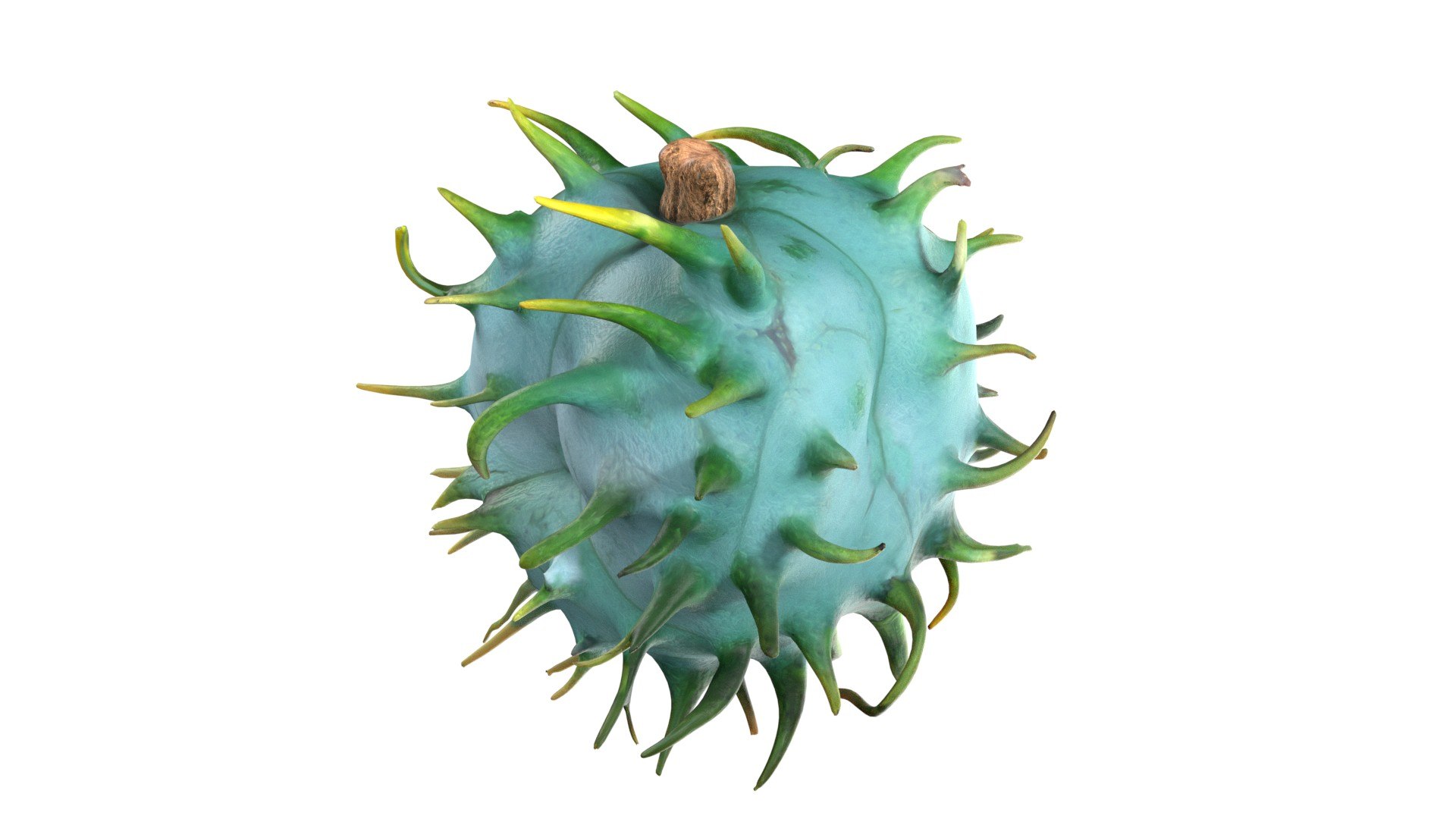 Caster Seed Fruit V1 Model - TurboSquid 2406552