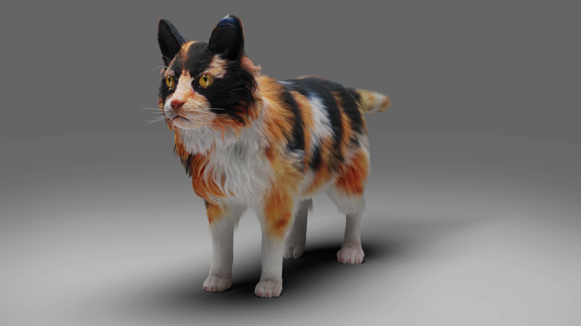 3D Fur Calico Cat V04 No Rigged - TurboSquid 1924624