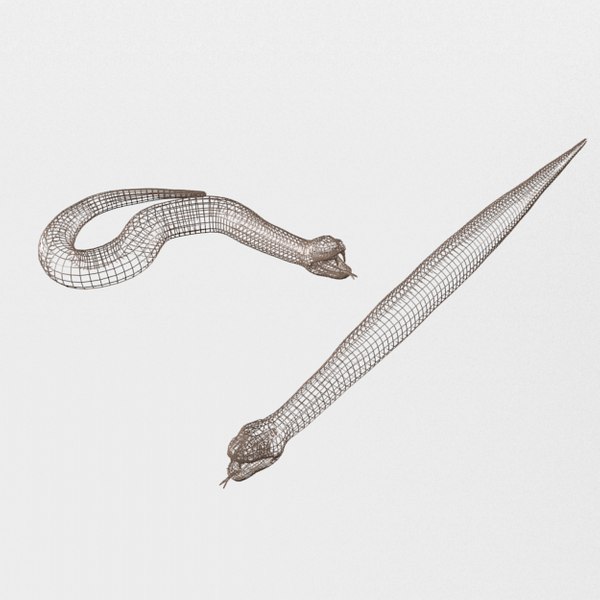 modelo 3d Serpiente pitón - TurboSquid 1340455