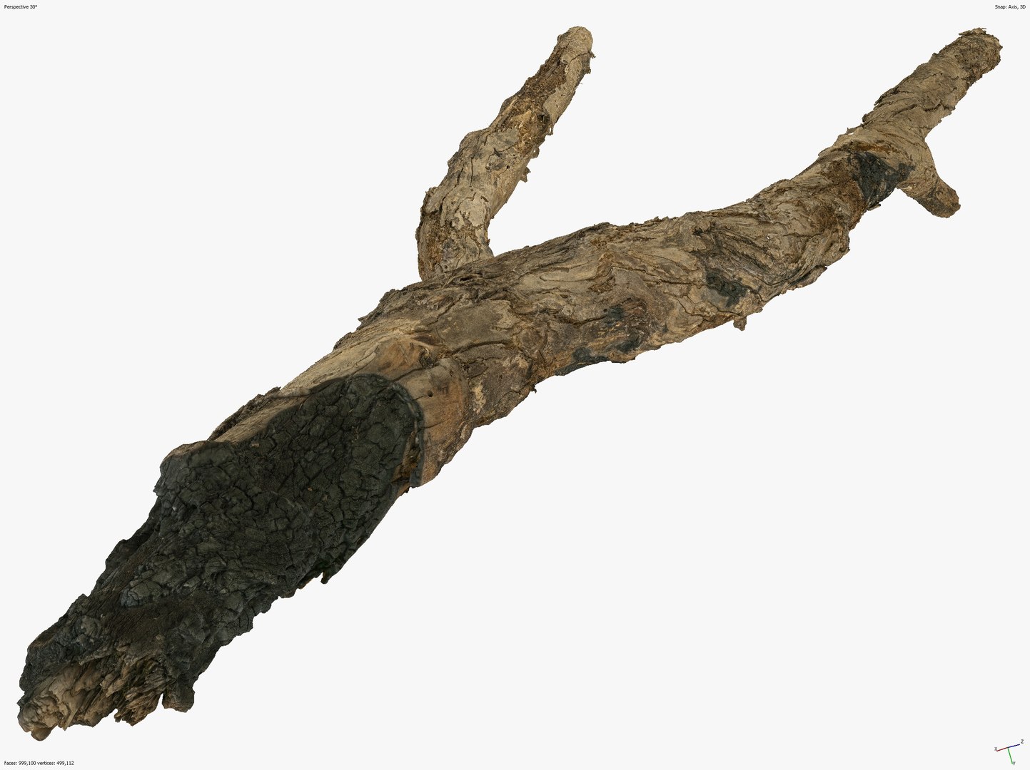 3D Burnt Tree Trunk 8x4k 1x16k 3x16k Textures Raw 3D Scan - TurboSquid ...