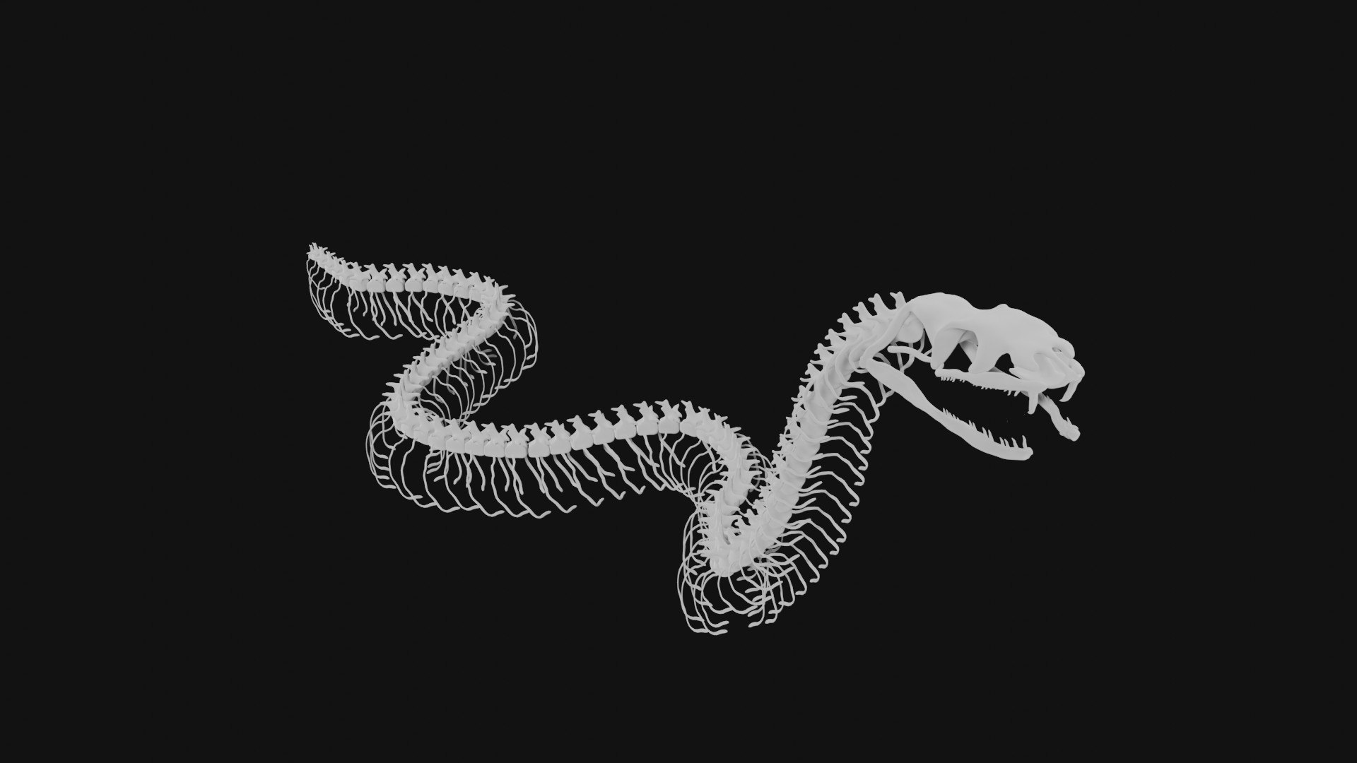 3D Snake Skeleton - TurboSquid 1991845
