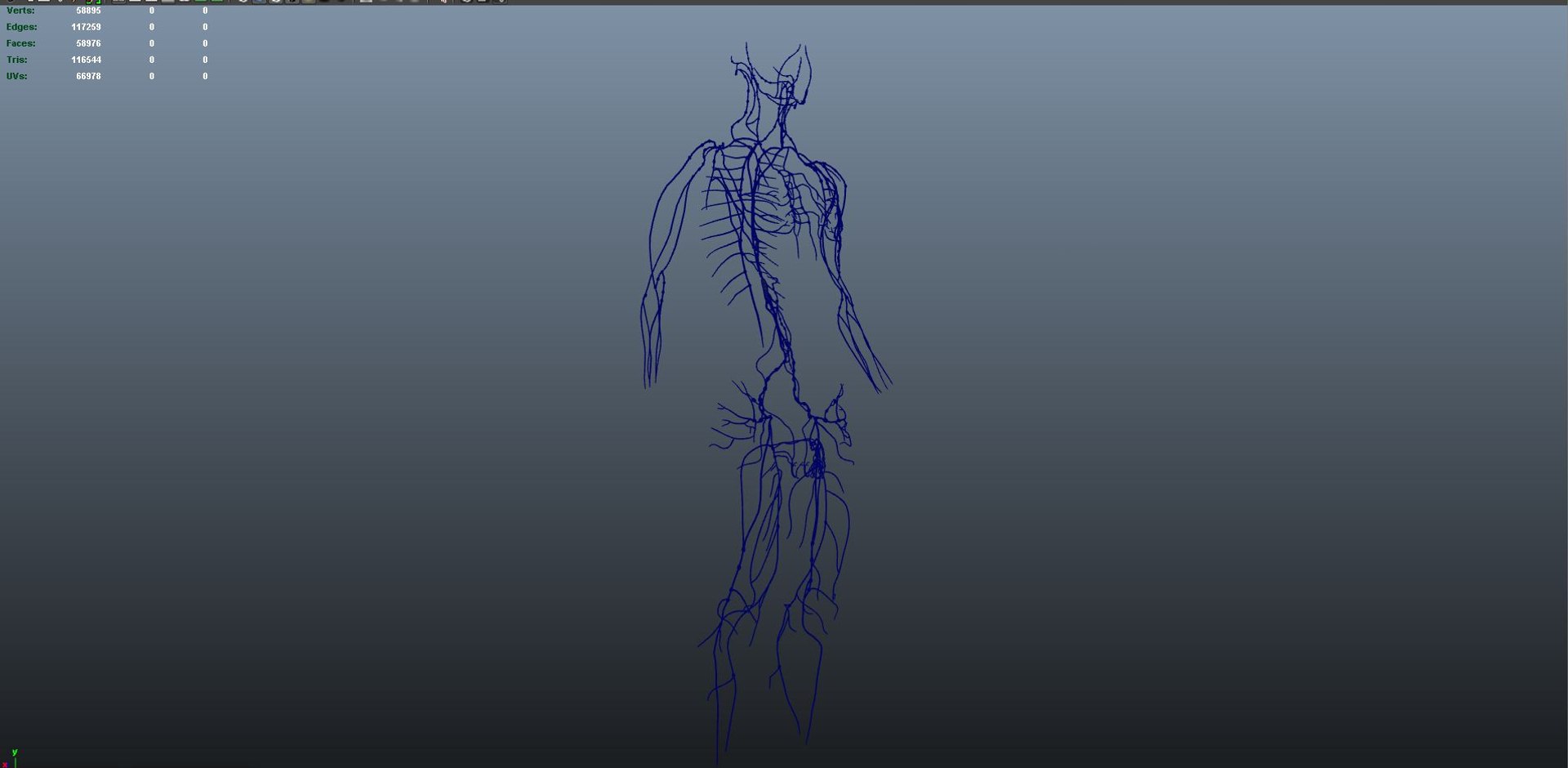 Lymph Nodes 3D Model - TurboSquid 1218011