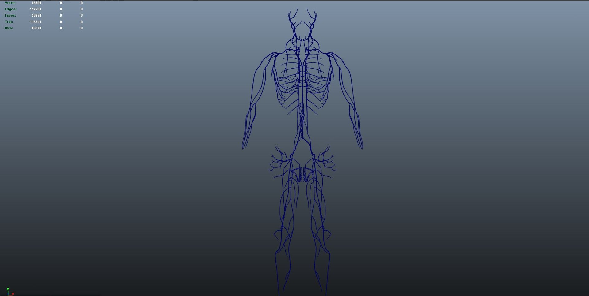 Lymph Nodes 3D Model - TurboSquid 1218011