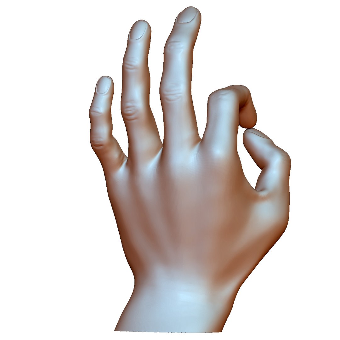 Male Hand Ok Okay 3D Model - TurboSquid 1393656
